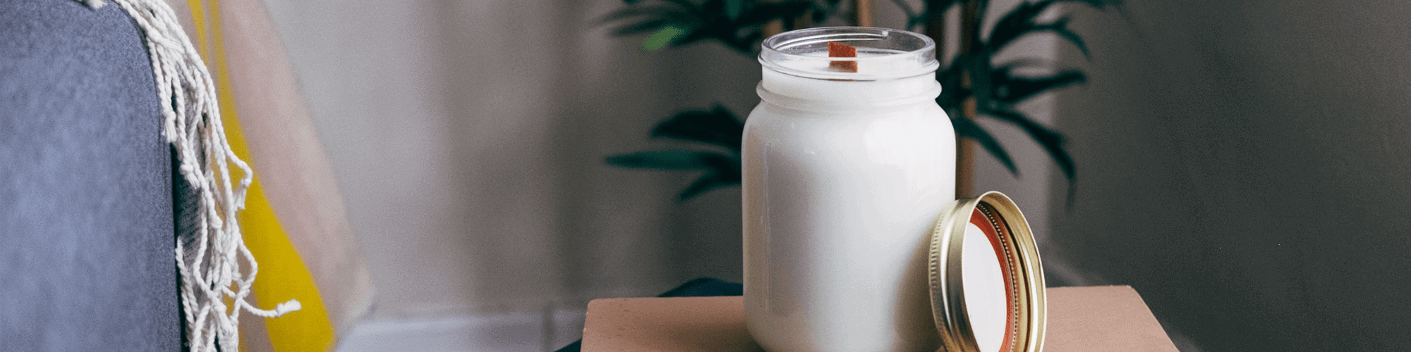 Home | The Kefir Company